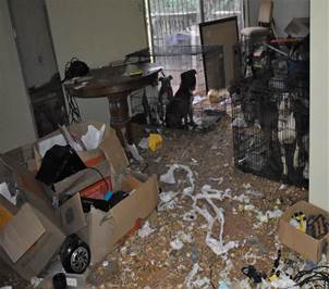 GPD: Griffin man facing 16 counts of aggravated animal cruelty in ...